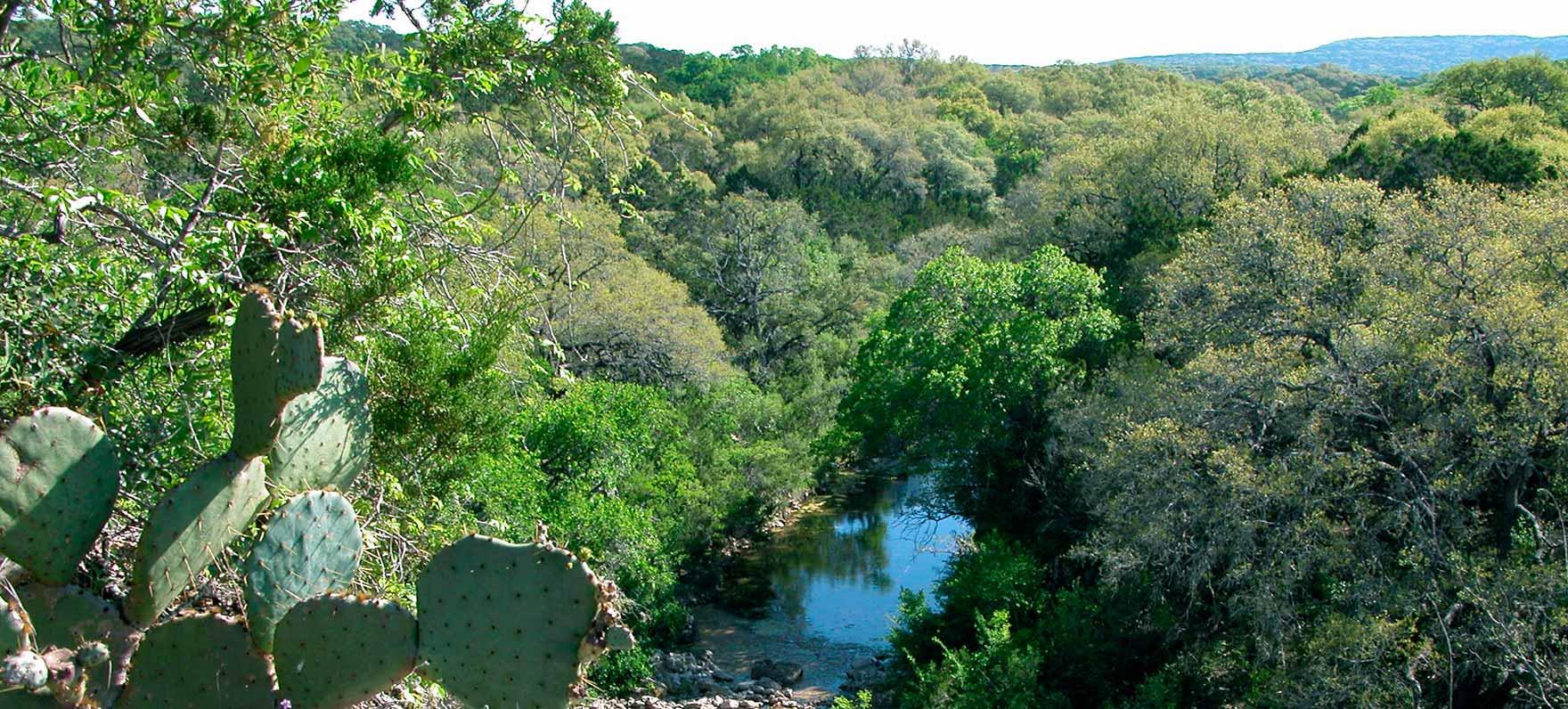 Campground Details - Government Canyon State Natural Area, TX - Texas ...
